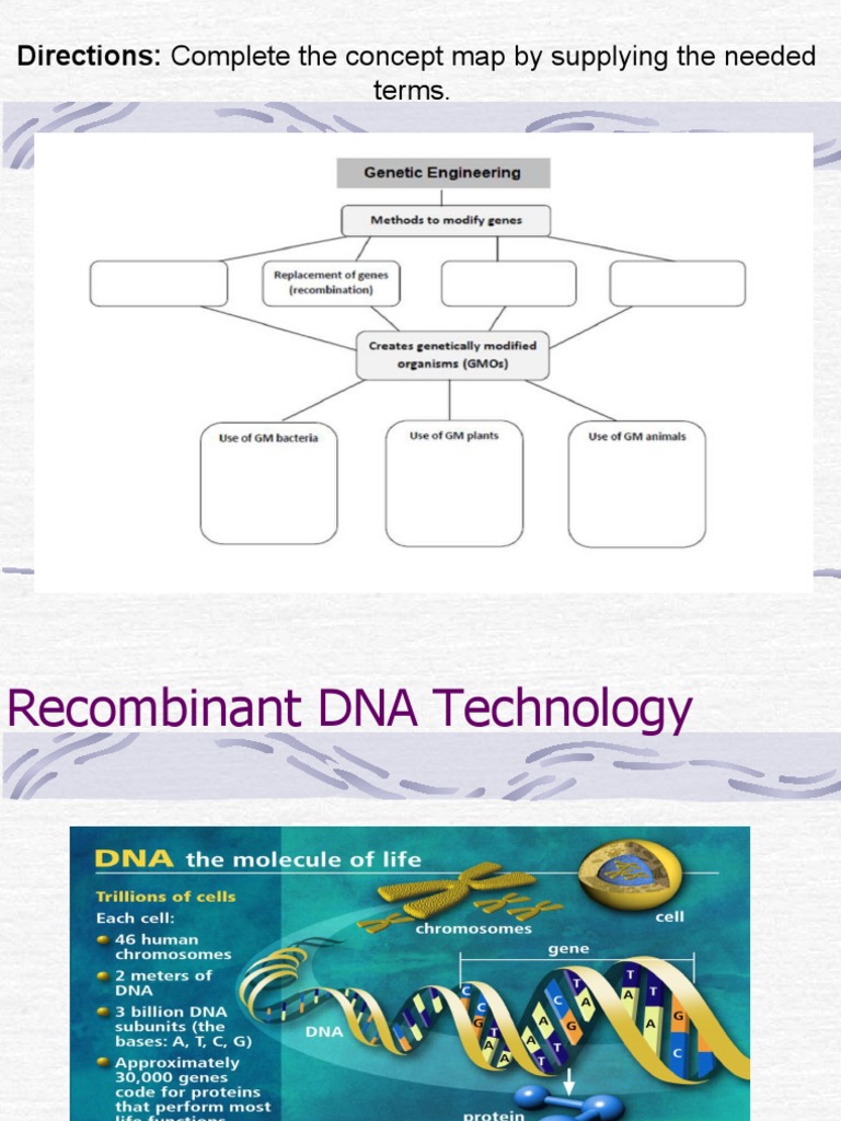 Recombinant DNA Technology | PDF | Polymerase Chain Reaction ...