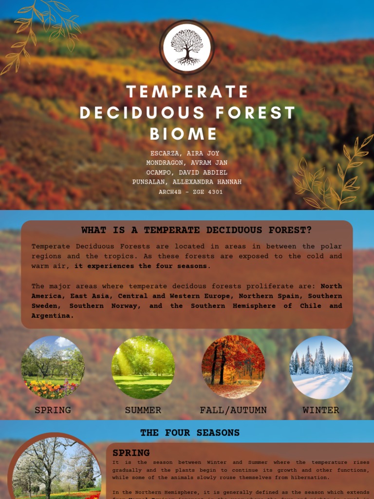 Temperate Deciduous Forest Biome | PDF | Temperate Climate | Autumn