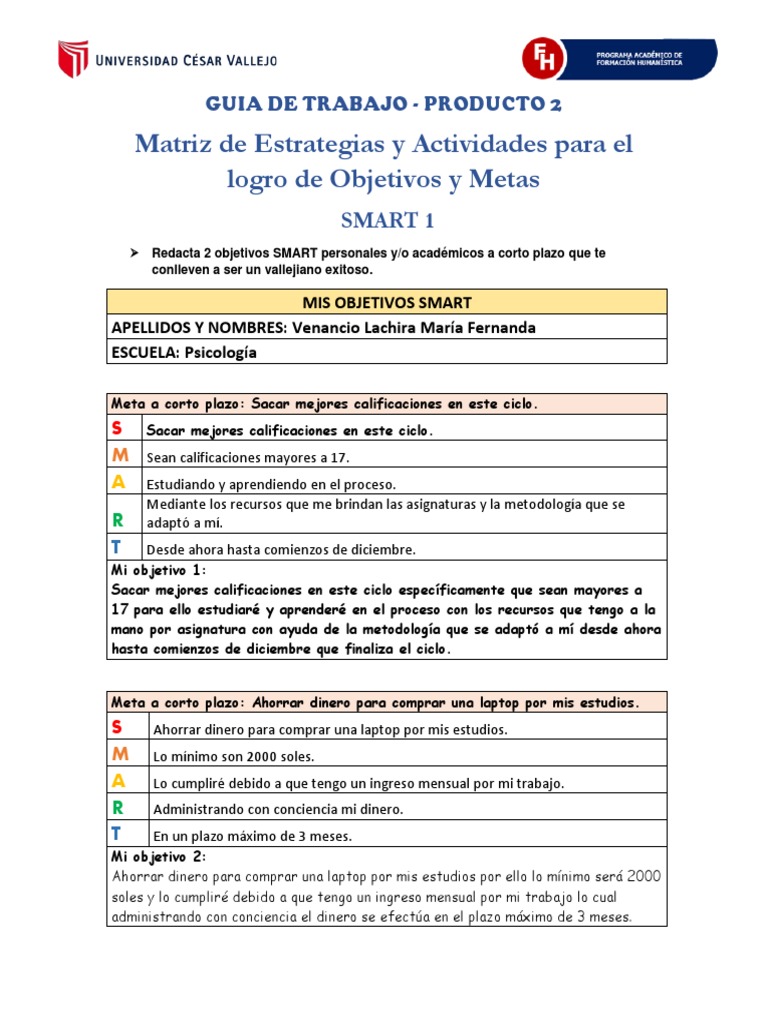 Matriz Smart Sesión 2 | PDF