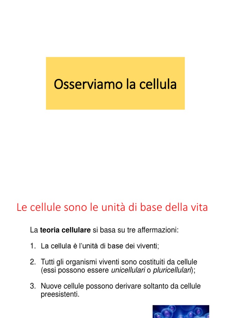 La Cellula | PDF