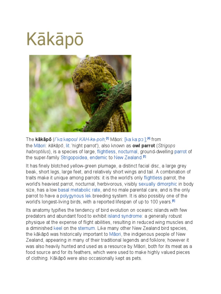 Birds Dictionary | Download Free PDF | Birds | Ornithology