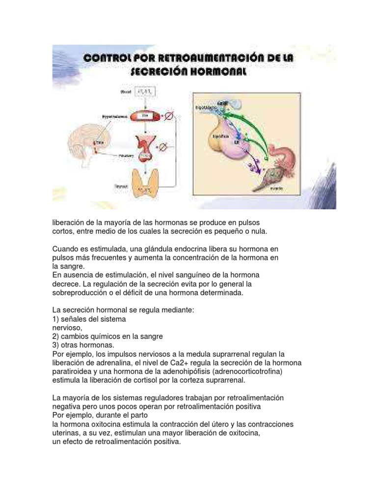 Control de La Secrecion Hormonal | Download Free PDF | Hormona ... Control de La Secrecion Hormonal | Download Free PDF | Hormona ...