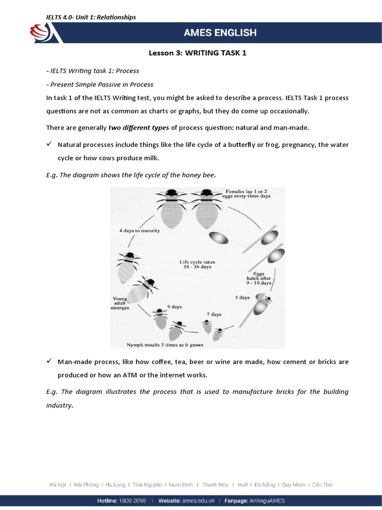 Process - Learning Guide U1 W1 - 4.0 | PDF | Insects | Water