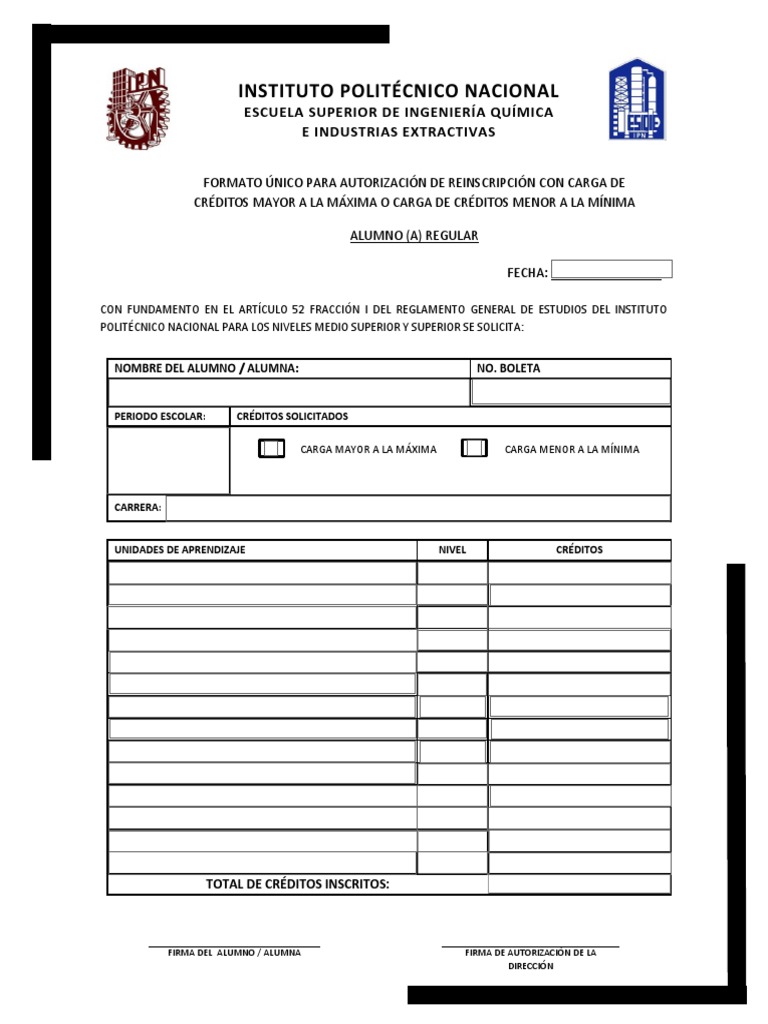 Formato de Carga Media IPN | PDF