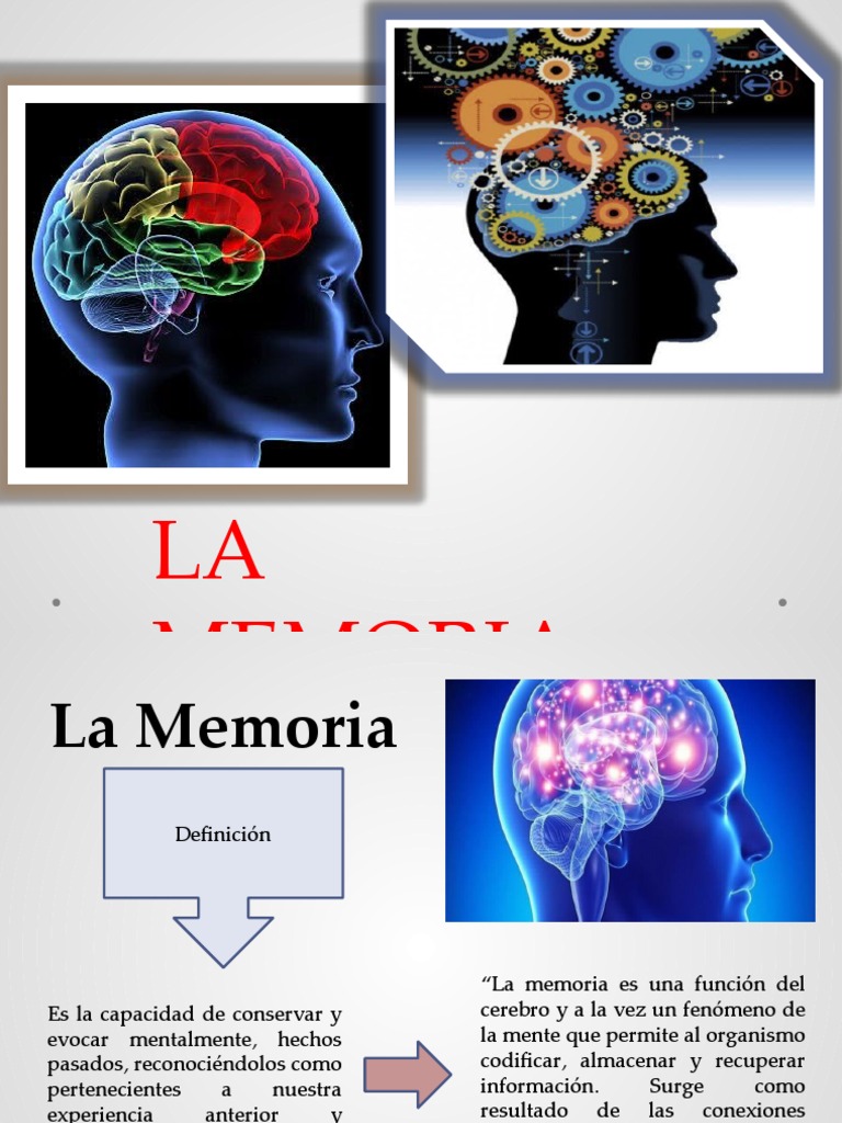 La Memoria Pdf Memoria Cerebro