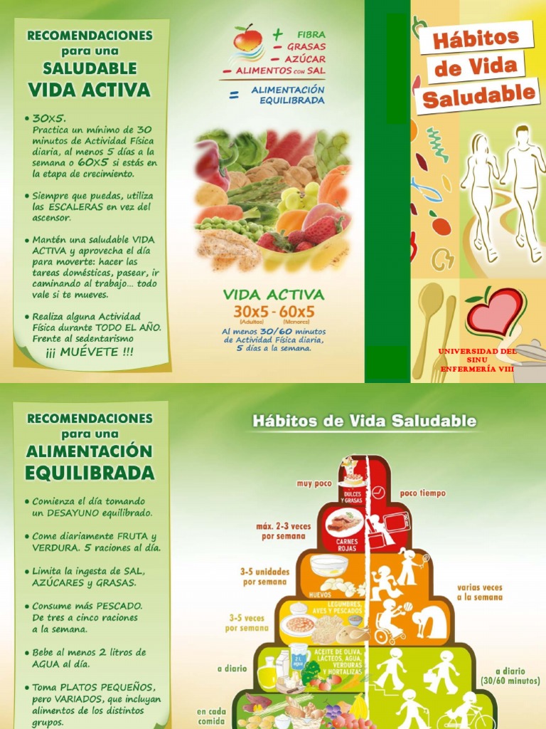 Folleto de Habitos de Vida Saludable | PDF