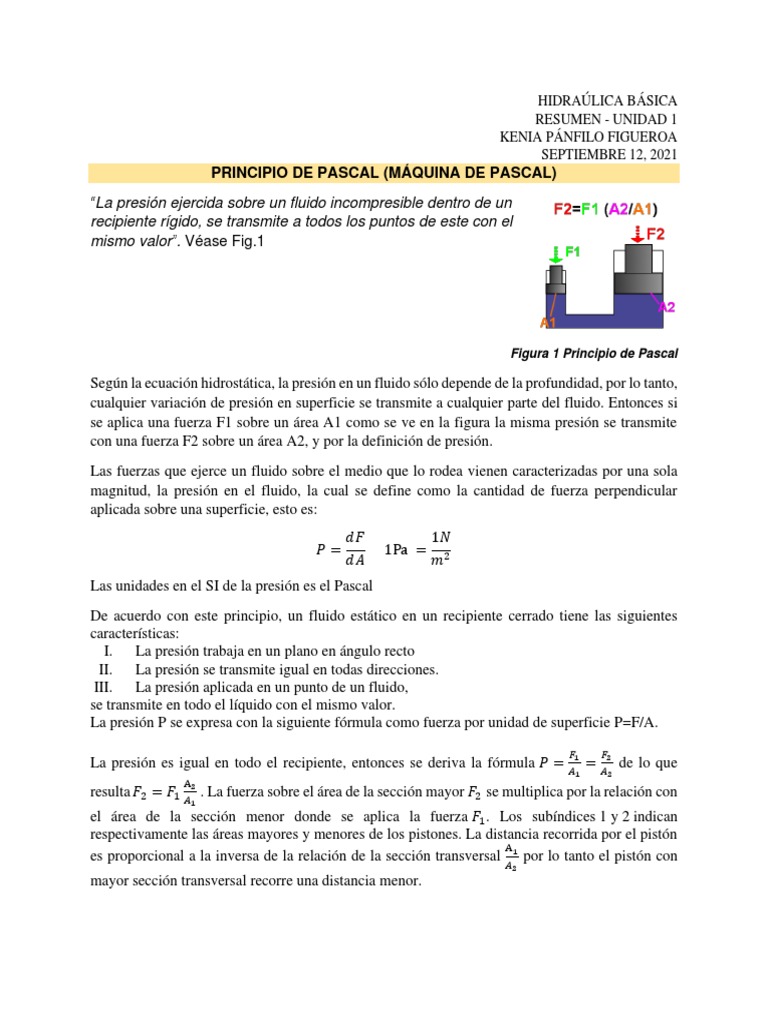 Principio de Pascal | PDF | Presión | Fuerza