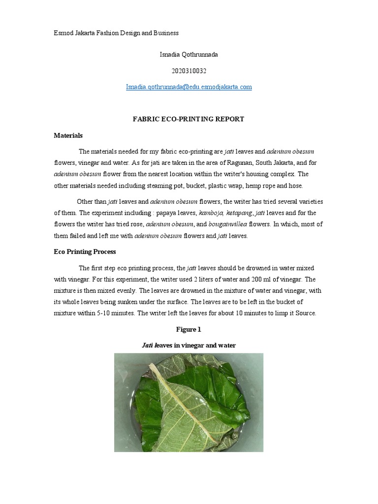 Textile Ecoprint Report - Isnadiaqothrunnada | PDF | Textiles | Materials