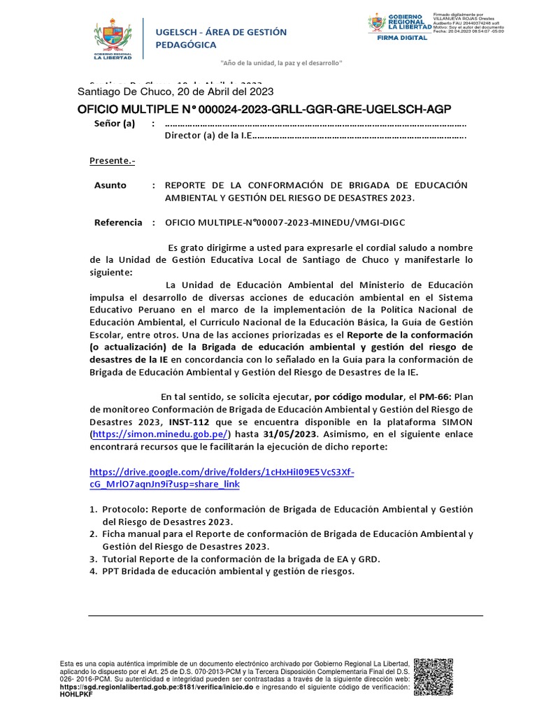 Oficio Multiple-000024-2023-Ggr-Gre-Ugelsch-Agp Reporte de Brigada de Ea y GRD | PDF | Informática
