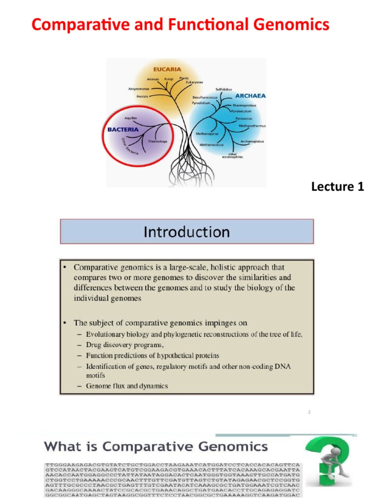 Lecture 1 2 Pdf Genomics Omics