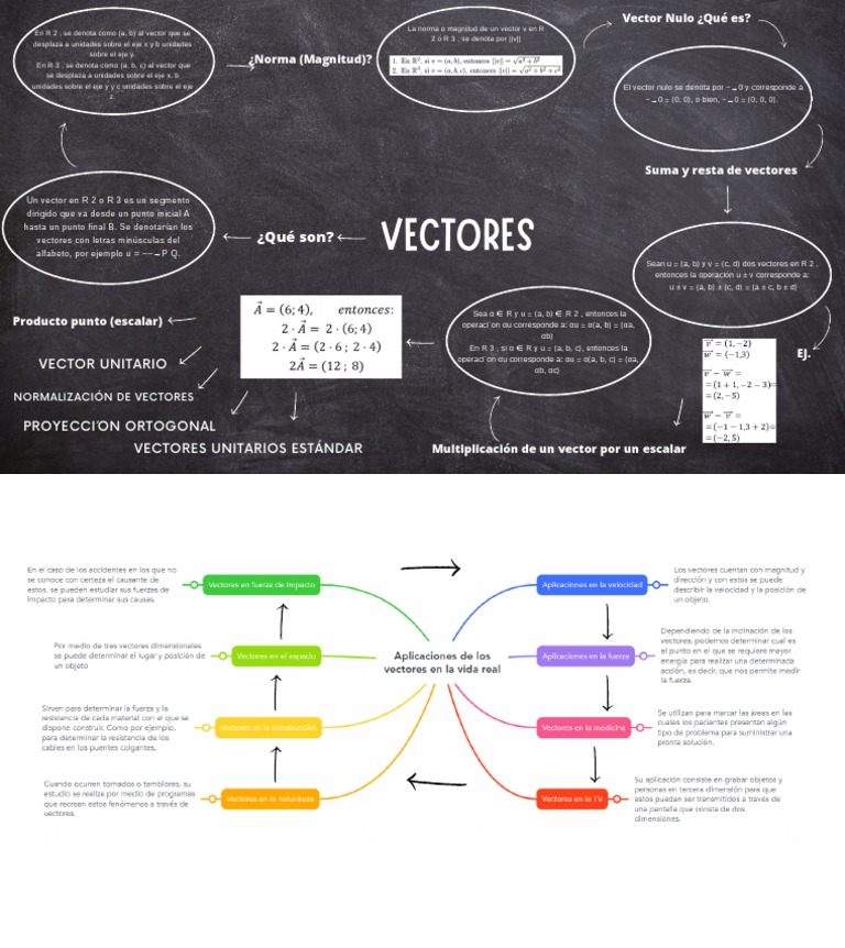 Conceptos Básicos de Vectores en R² y R³ | PDF | Vector Euclidiano ...
