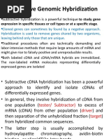 ENVIROPIG | PDF | Genetically Modified Organism | Transgene