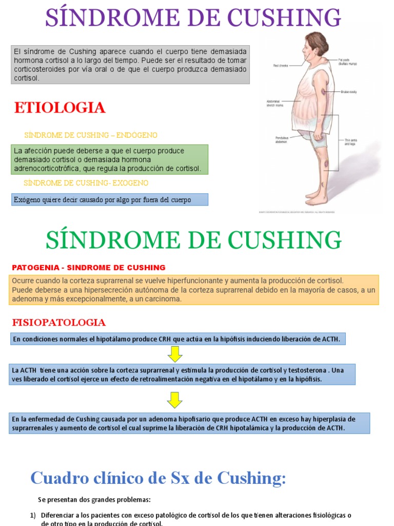 Fisiopatología y etiología del síndrome de Cushing | PDF | Cortisol ...