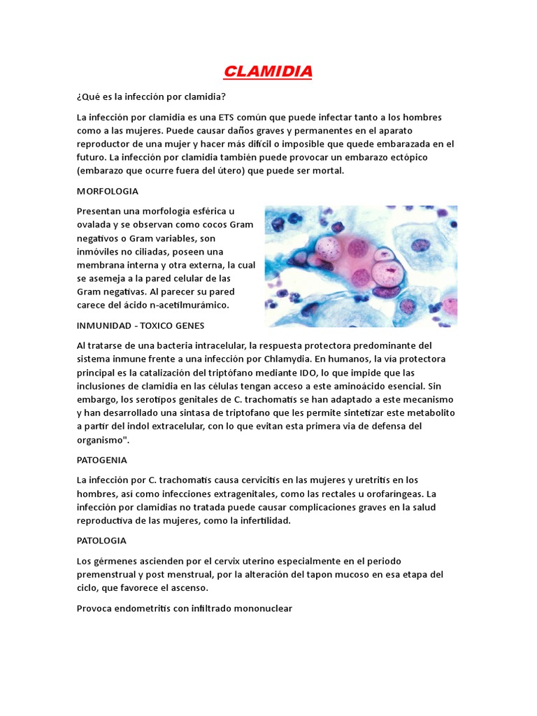 Infección por Clamidia: Causas y Tratamiento | PDF | Infección ...