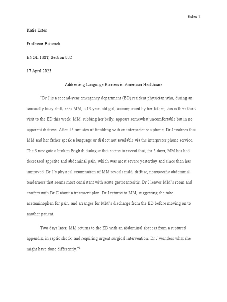 Issue Brief | PDF | Health Care | Language Interpretation