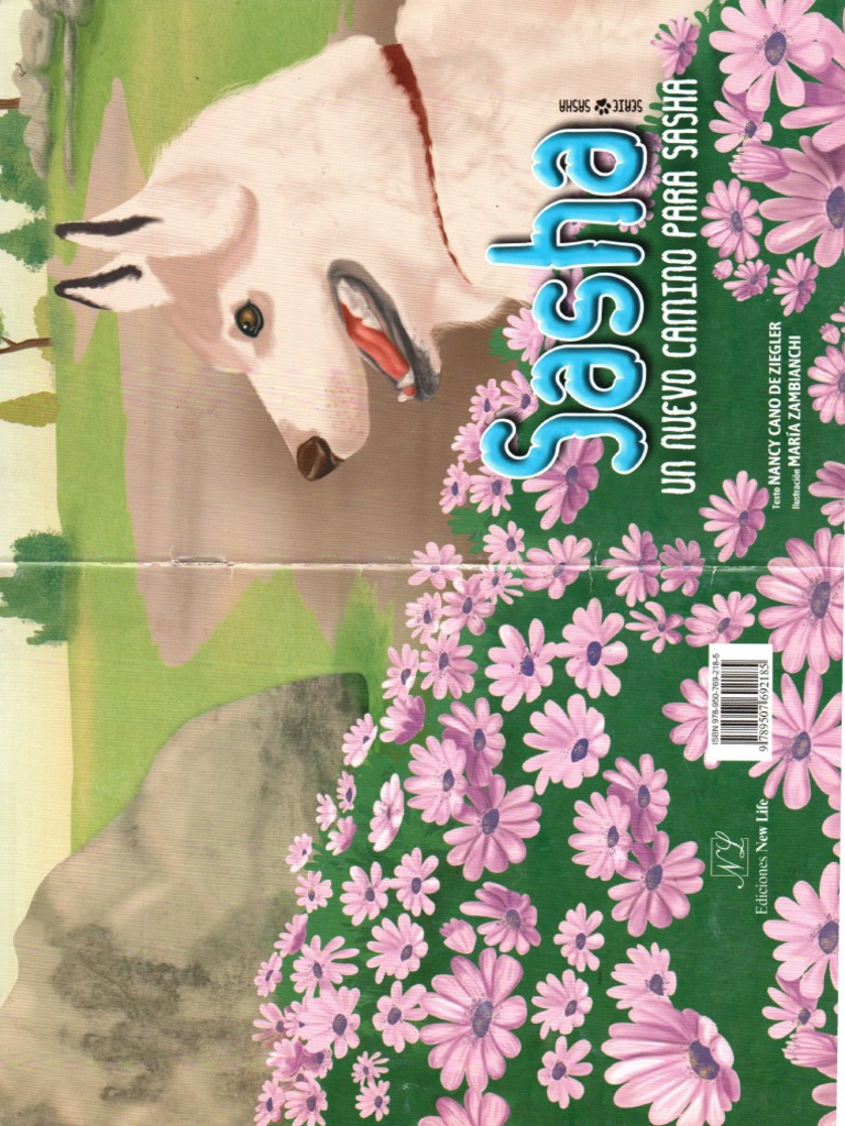 Un Nuevo Camino para Sasha | PDF