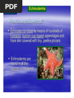 Echinoderms 3 | PDF