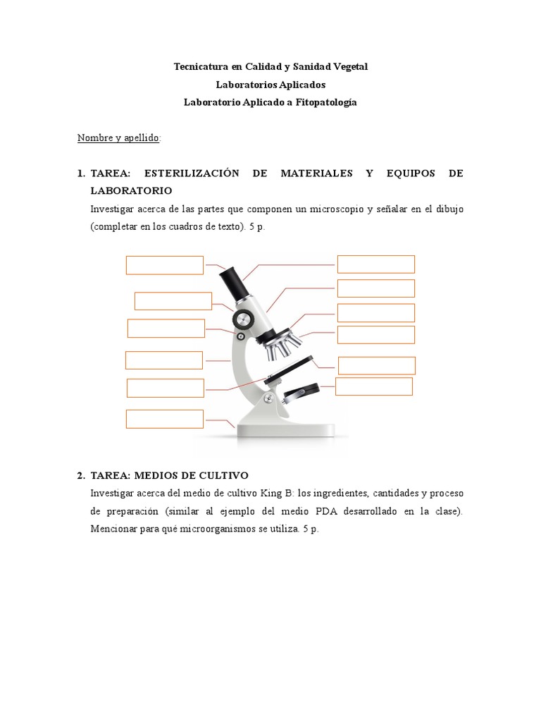 Tarea 3 | PDF | Salud y bienestar | Tecnología
