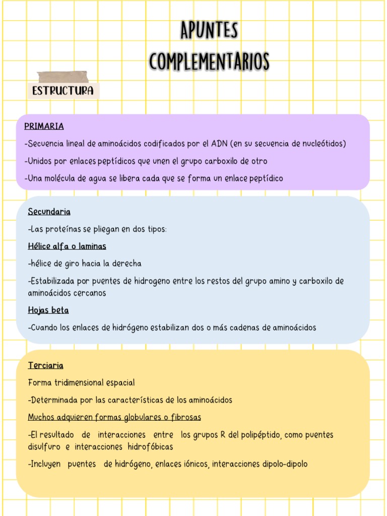 Apuntes Complementarios-Proteínas | PDF Apuntes Complementarios-Proteínas | PDF