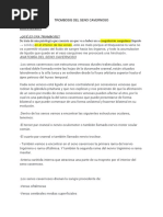 Anatomía del Seno Cavernoso | PDF | Anatomía humana | Cabeza y cuello ...