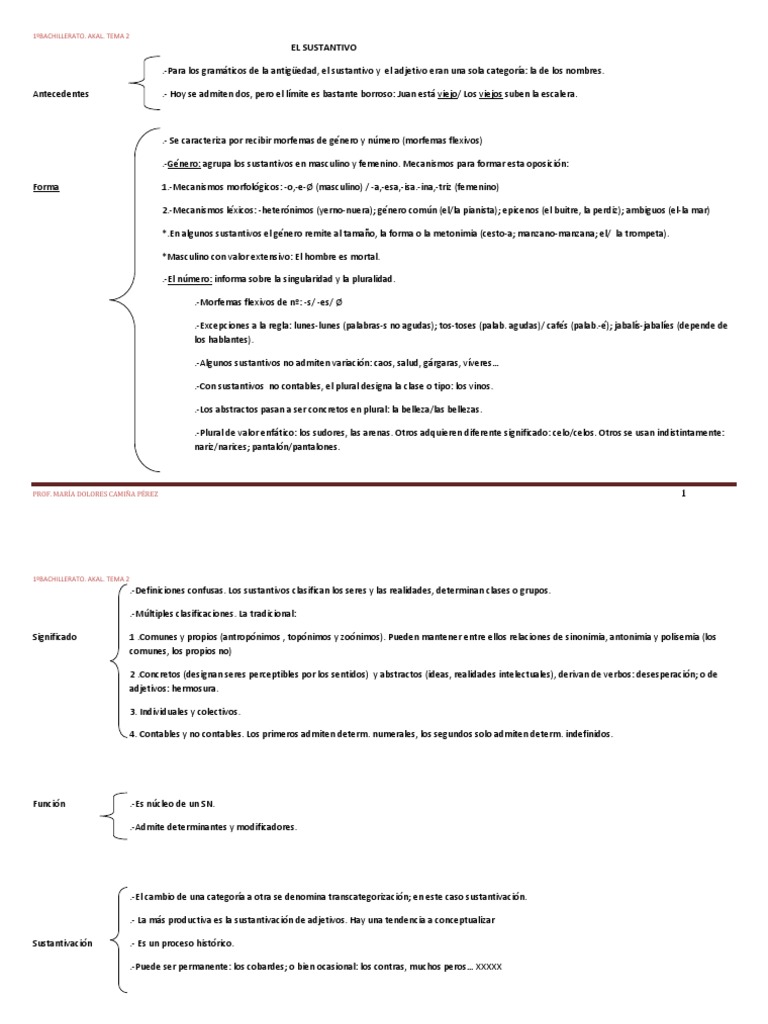 1.-EL SUSTANTIVO - Teoría | PDF | Sustantivo | Numero Gramatical