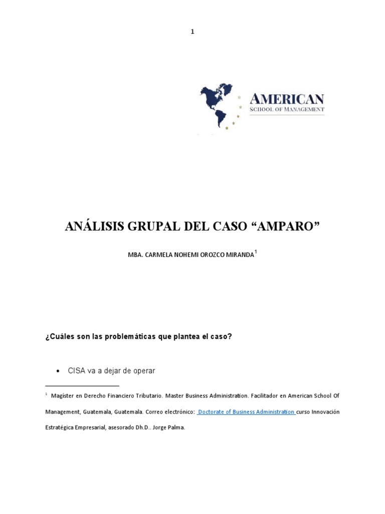 Análisis Grupal Del Caso "Amparo" | PDF | Marketing | Mercado (economía)