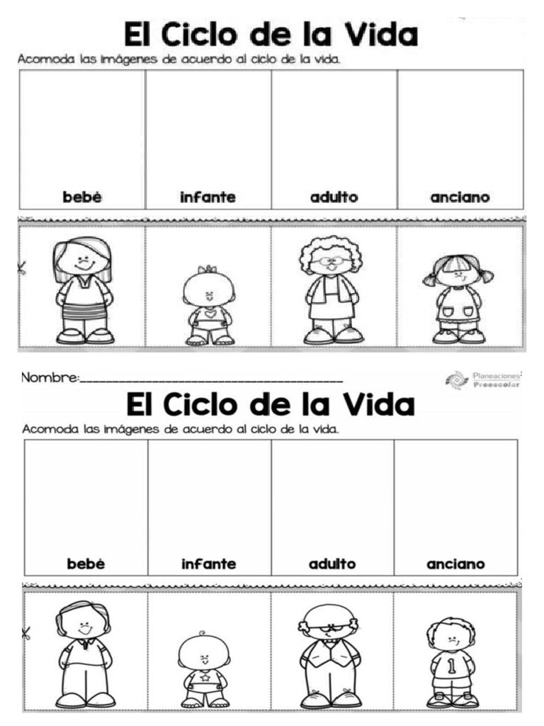 Ciclo de La Vida | PDF