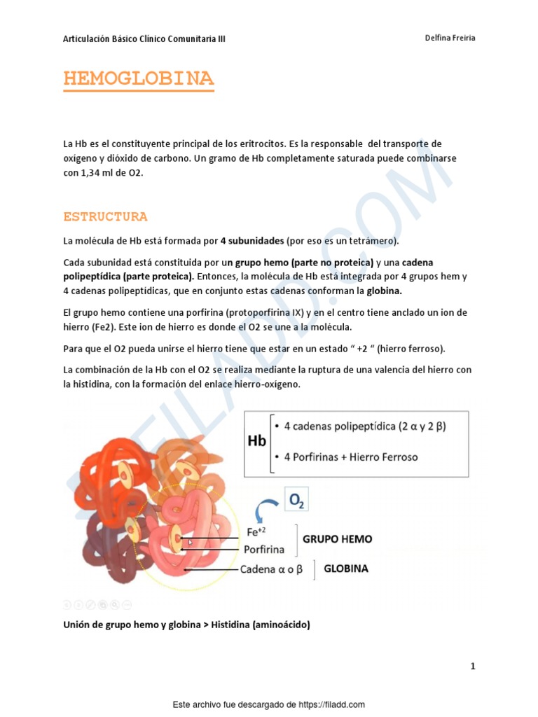 Hemoglobina RES 1 | PDF | Hemoglobina | Glóbulo rojo
