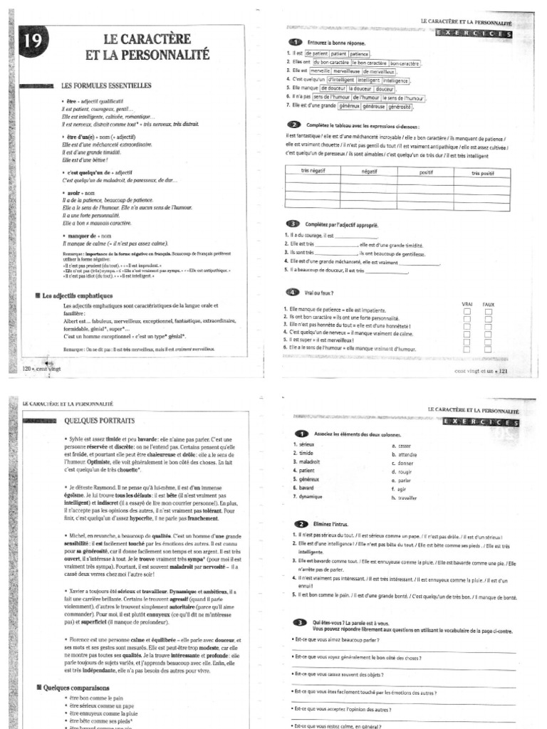 Traits de Caractere - FLE | PDF