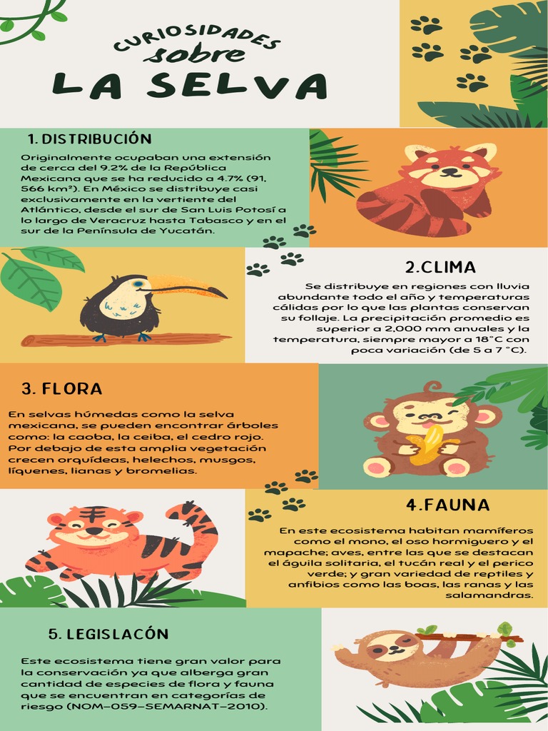 La distribución, características y legislación de la selva mexicana | PDF