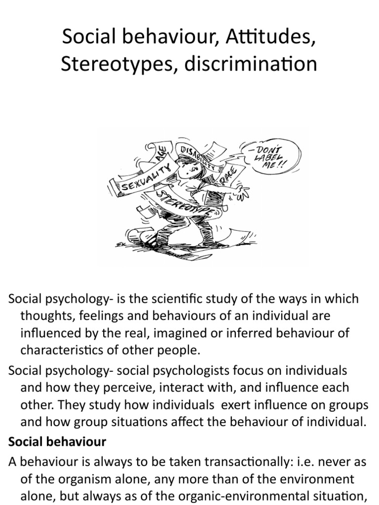Social Behaviour, Attitudes, Stereotypes, Discrimination | PDF ...