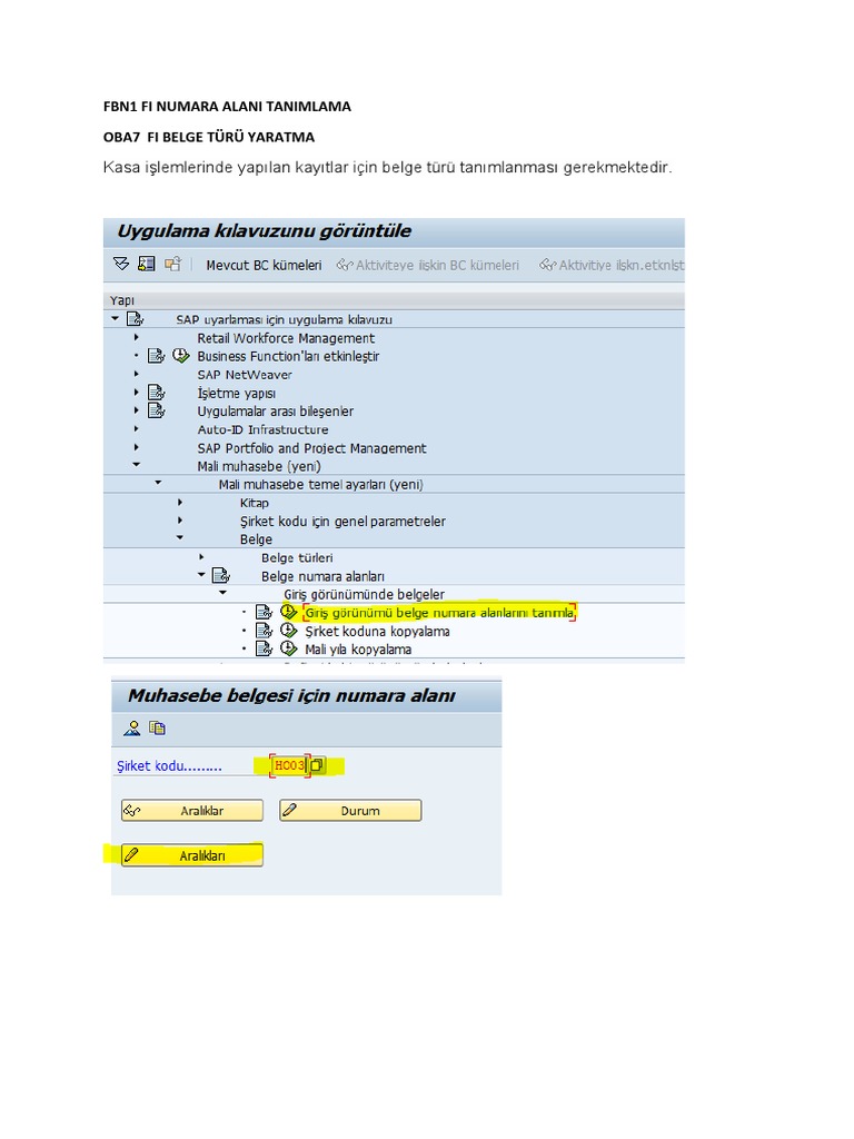 Co 4) Belge Numara Alani Yaratma (Oba7) | PDF