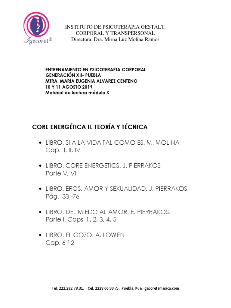 Lectura sobre Core Energética II | PDF