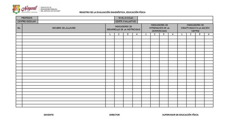 Registro de Evaluacion Diagnostica | PDF
