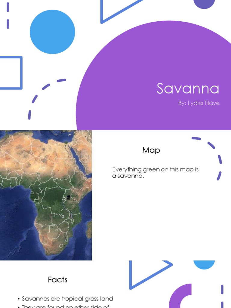 Savanna Ecosystem: Animals and Facts | PDF