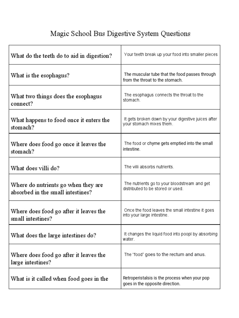 Magic School Bus Digestive System Questions: Goes To The Rectum and ...