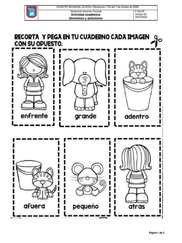 Actividad Sinónimos y Antónimos | PDF