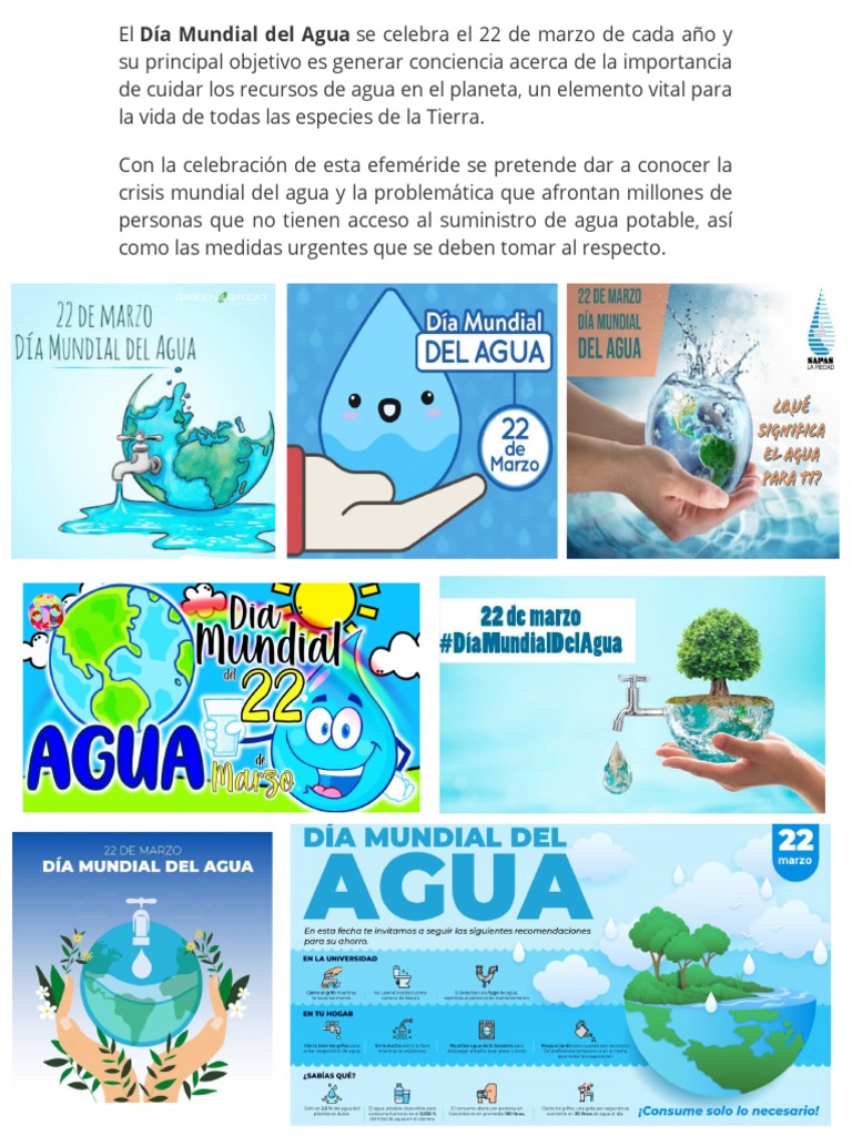Día Mundial Del Agua | PDF