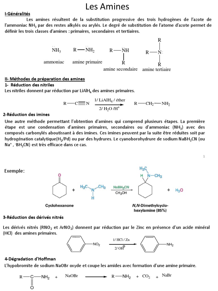 Synthèse et Réactivité des Amines | PDF | Amine (chimie) | Ammonium