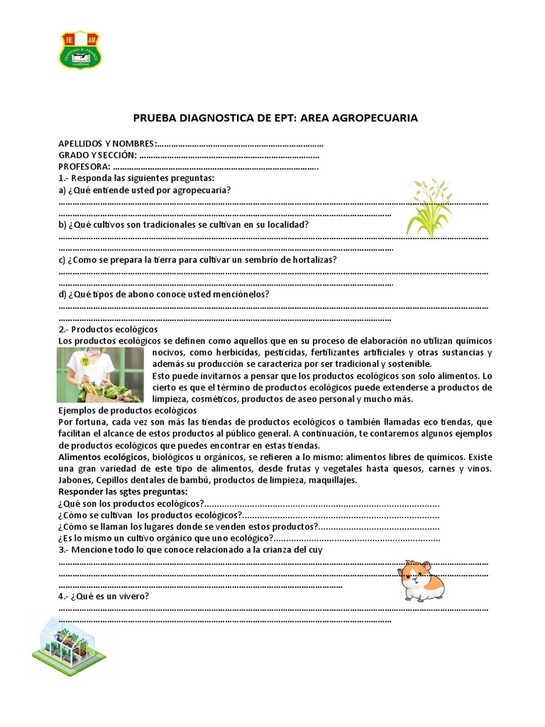 Prueba Diagnostica de Ept | PDF | Alimentos | Fertilizante