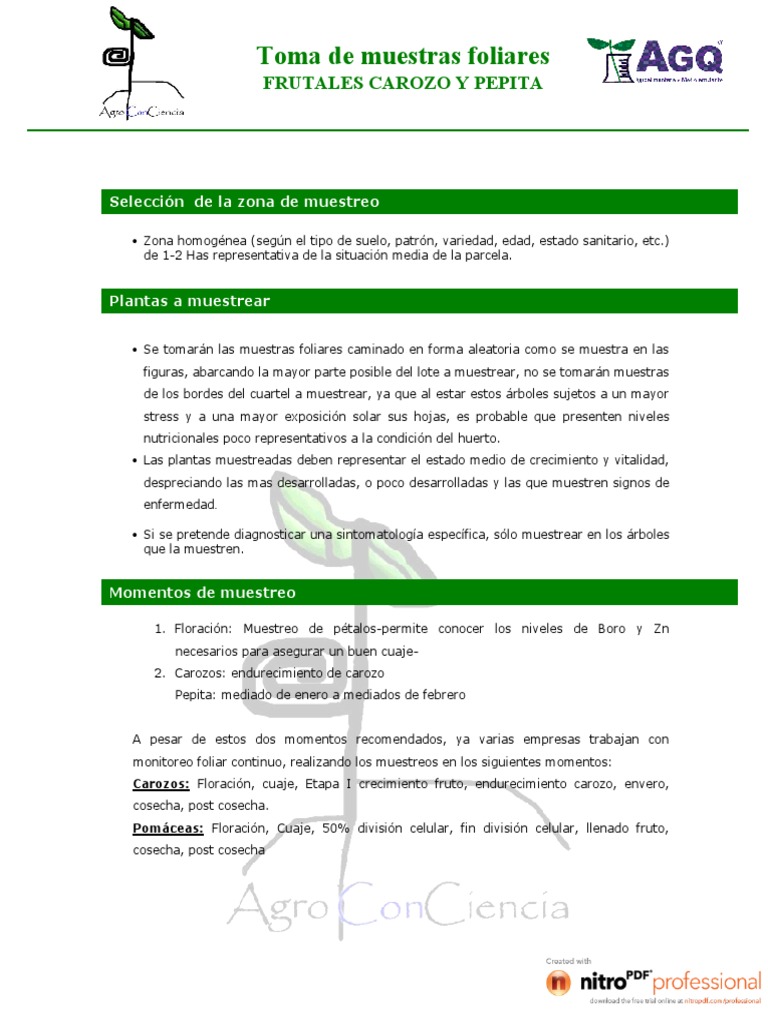 Toma de Muestras Foliares en Frutales Carozo y Pepita | PDF | Hoja | Flores
