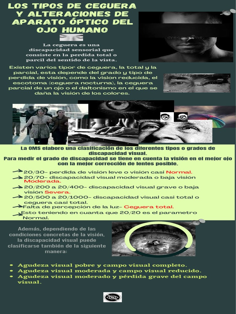 Tipos de ceguera y nervio óptico | PDF | Ojo humano | Percepción visual