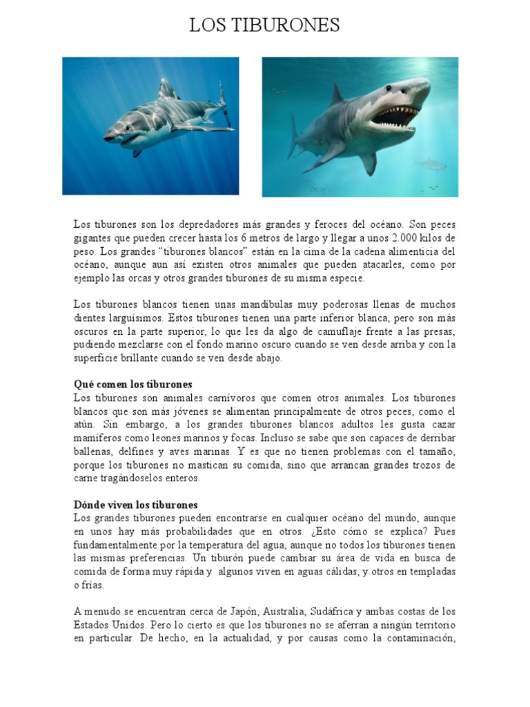 Los Tiburones | PDF