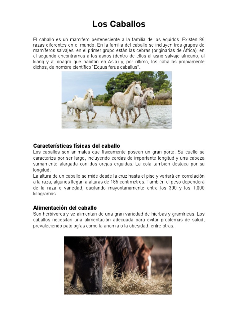 Los Caballos | PDF | Caballos | Burro