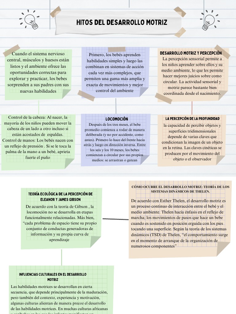 Hitos y teorías del desarrollo motriz infantil | PDF | Percepción | Ciencias del comportamiento