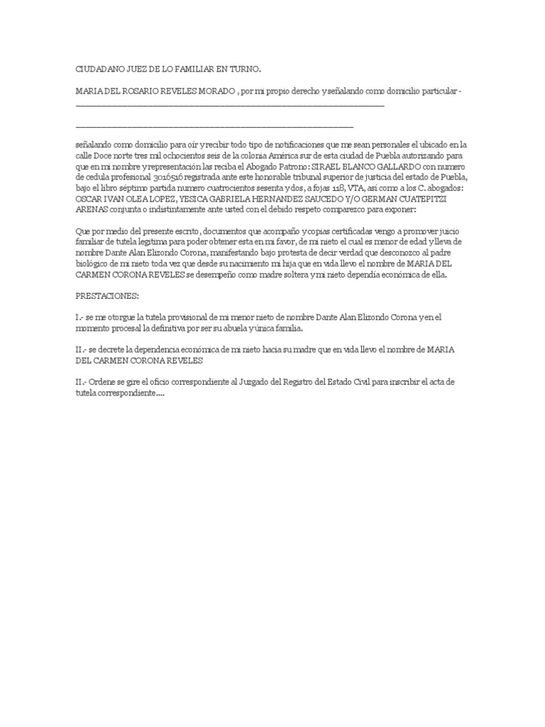Solicitud de Tutela Dativa para Nieto | PDF