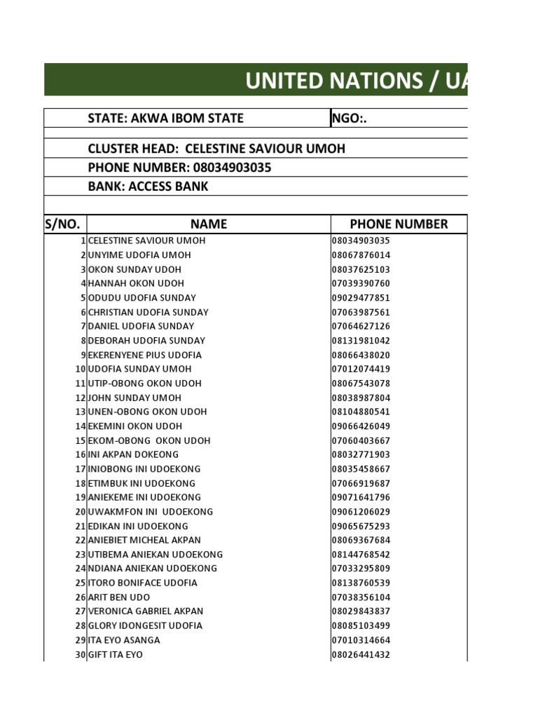 UN-UAAG TEMPLATE | PDF