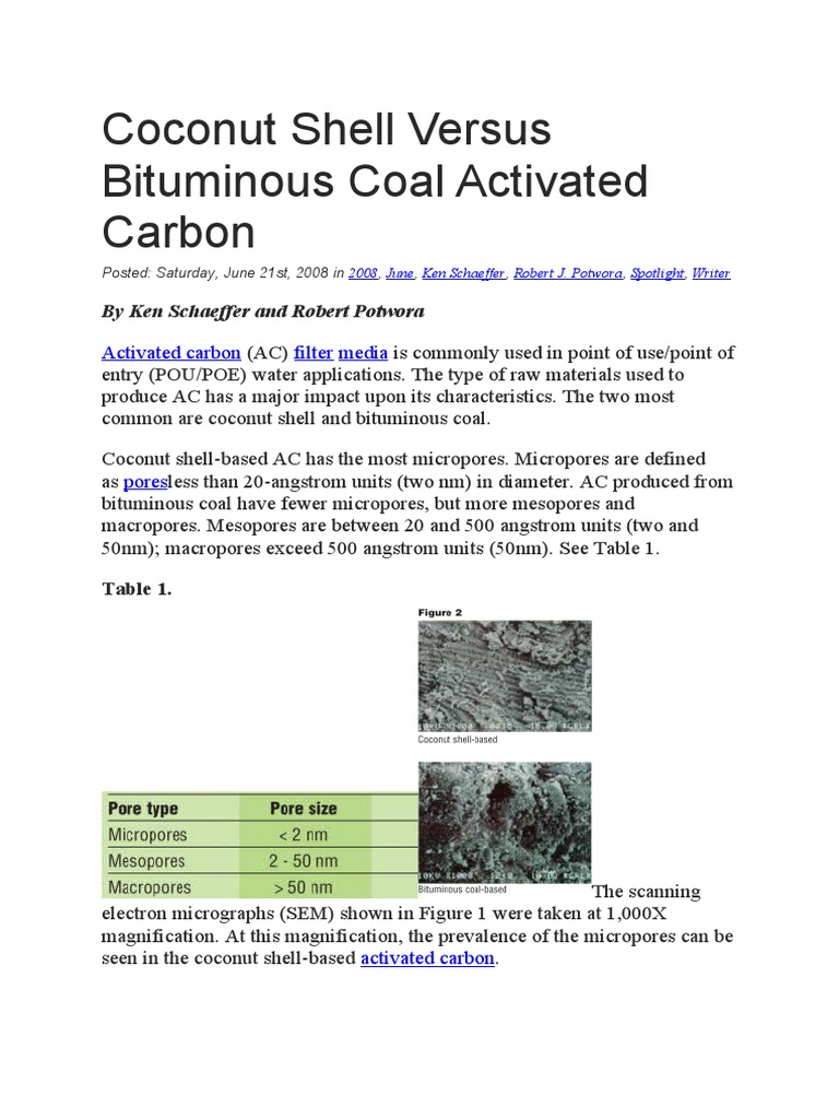 Coconut Shell Versus Bituminous Coal Activated Carbon | PDF | Coal | Chemistry