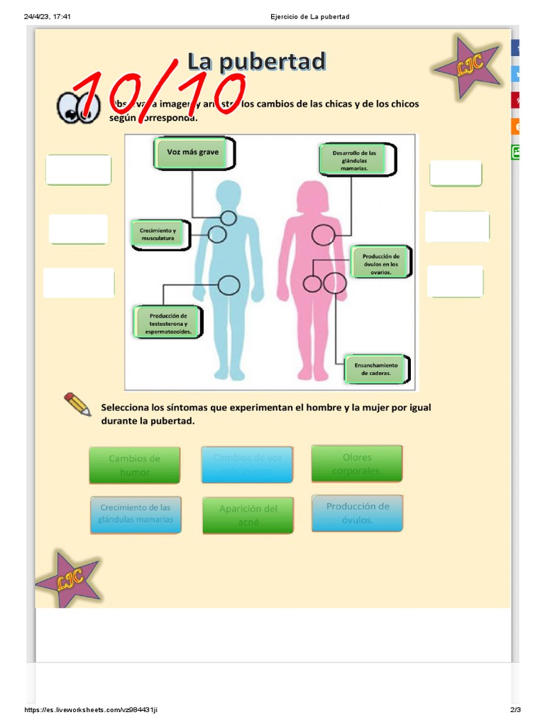 Ejercicio de La Pubertad | PDF