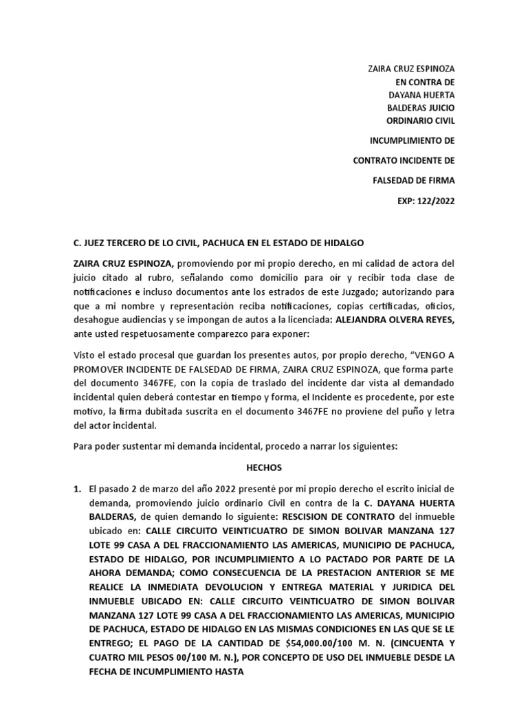 Escrito Civil | PDF | Demanda judicial | Judicaturas